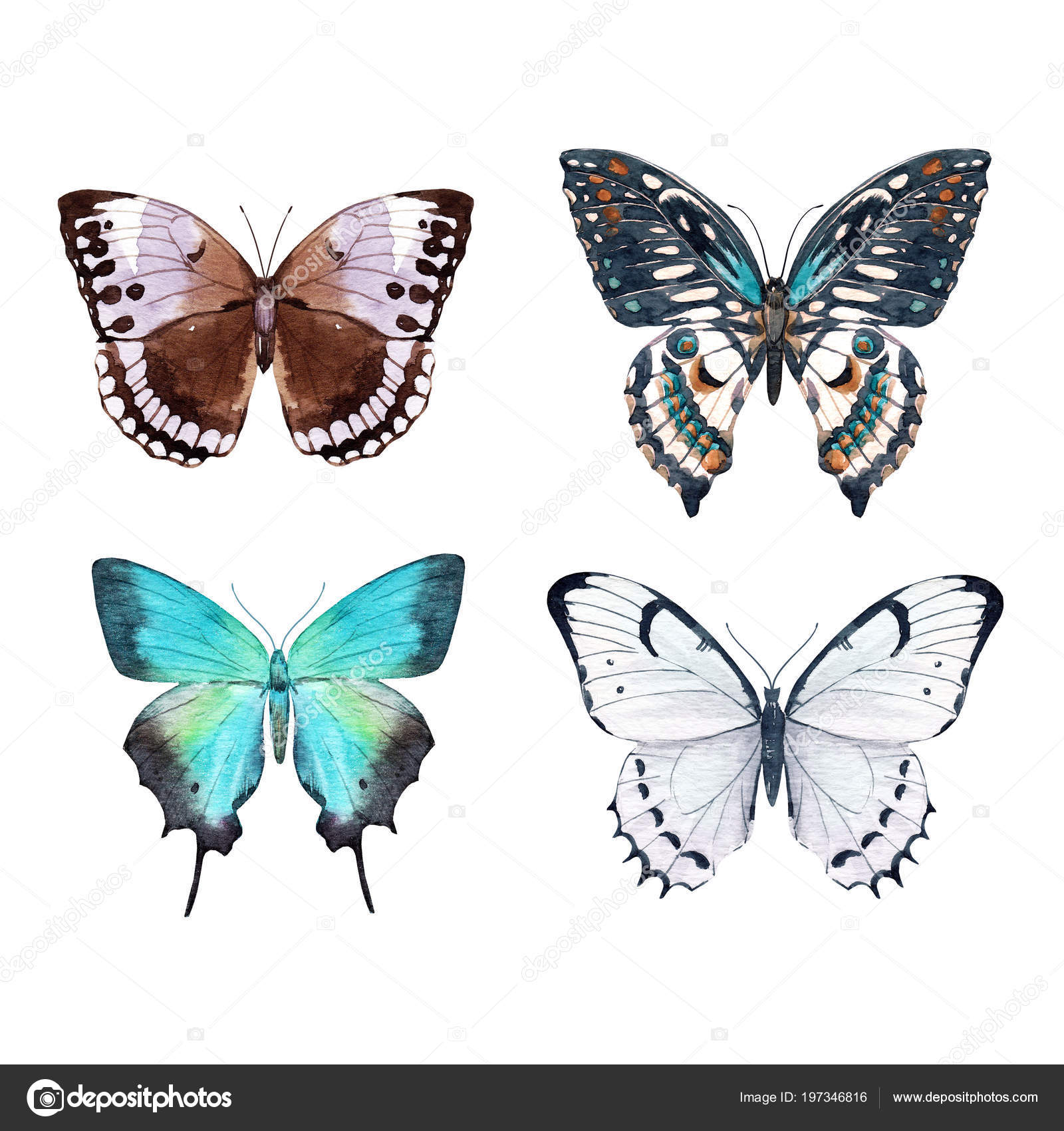 Watercolor butterfly set Stock Illustration by ©ZeninaAsya #197346816