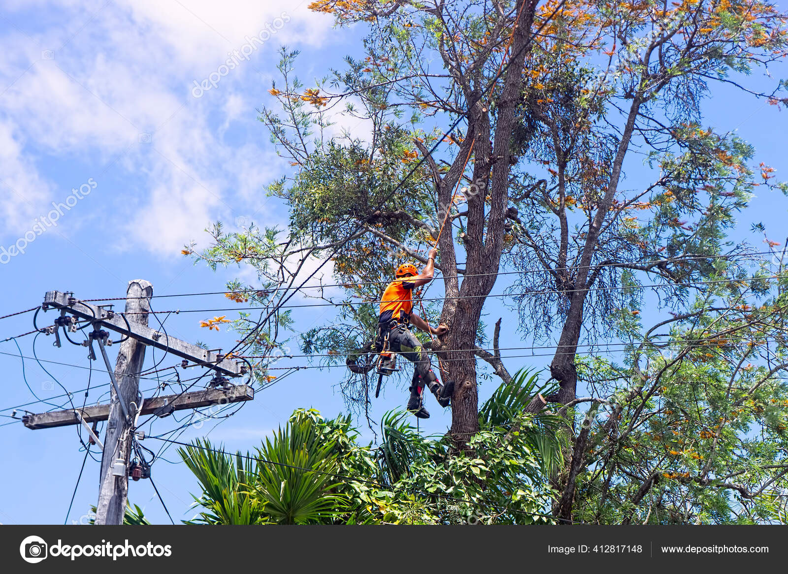 Arborist Tree Surgeon Safety Harness Helmet Cutting Trimming Tall Silky ...