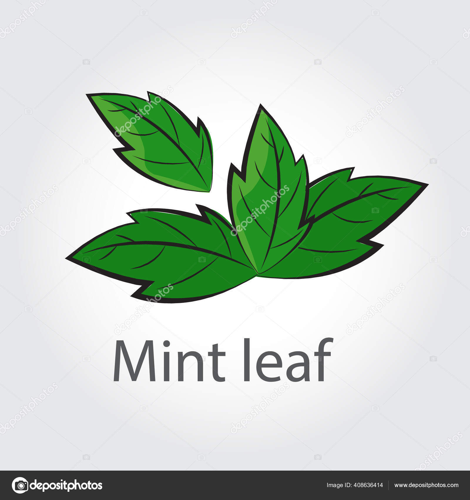 Hoja Menta Diseño Vector Objeto Ilustración Vector de stock #408636414 ...