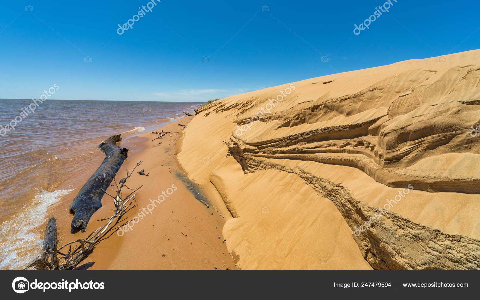 Dunes Island Las Dunas San Cosme Damian Middle Rio Parana — Stock Photo ...