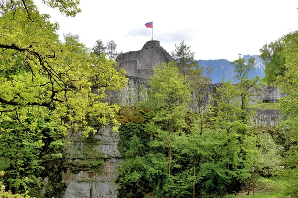 Alte Burgruine Schellenberg Liechtenstein 2020 Stock Photo by ©robert ...
