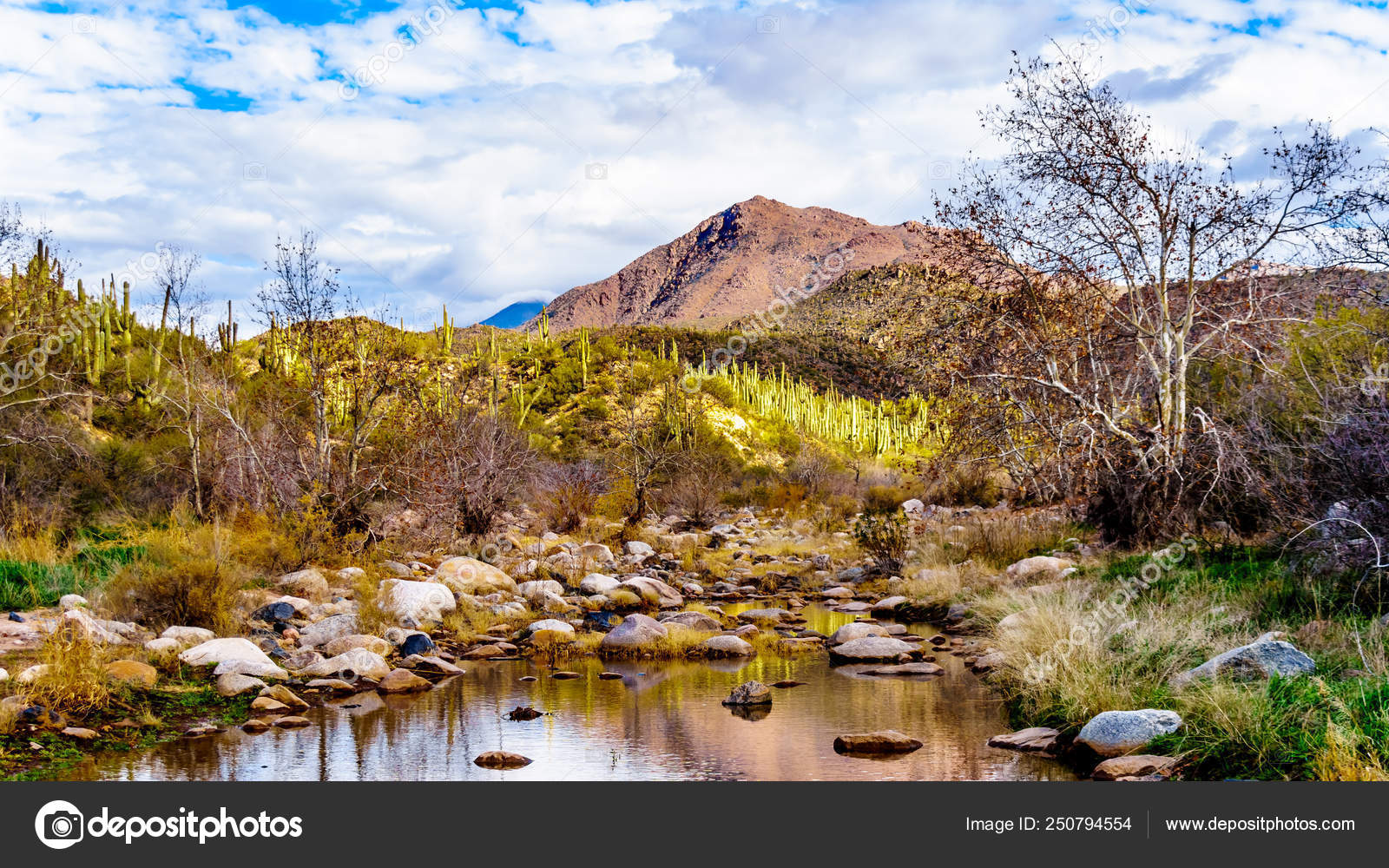Almost Dry Sycamore Creek Mcdowell Mountain Range Northern Arizona Log ...