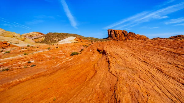 Red rocks colorado Stock Photos, Royalty Free Red rocks colorado Images ...