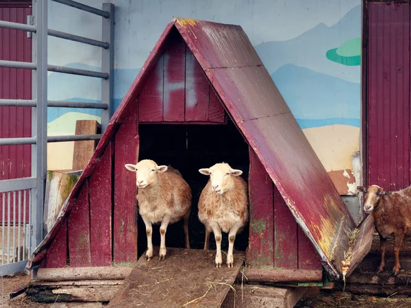 Emporium imvu Stock Photos, Royalty Free Emporium imvu Images ...