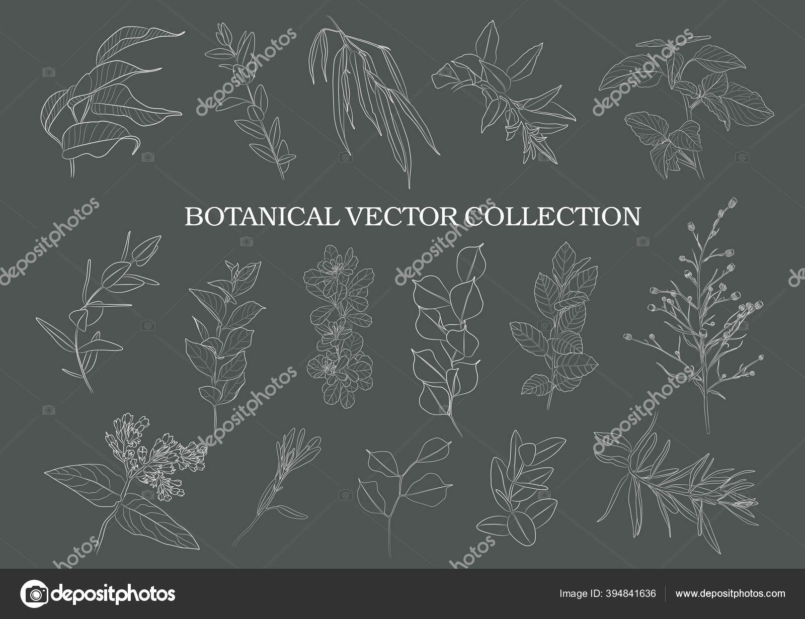 Botanical Garden Vector Collection Hand Drawn Plant Elements — Stock ...