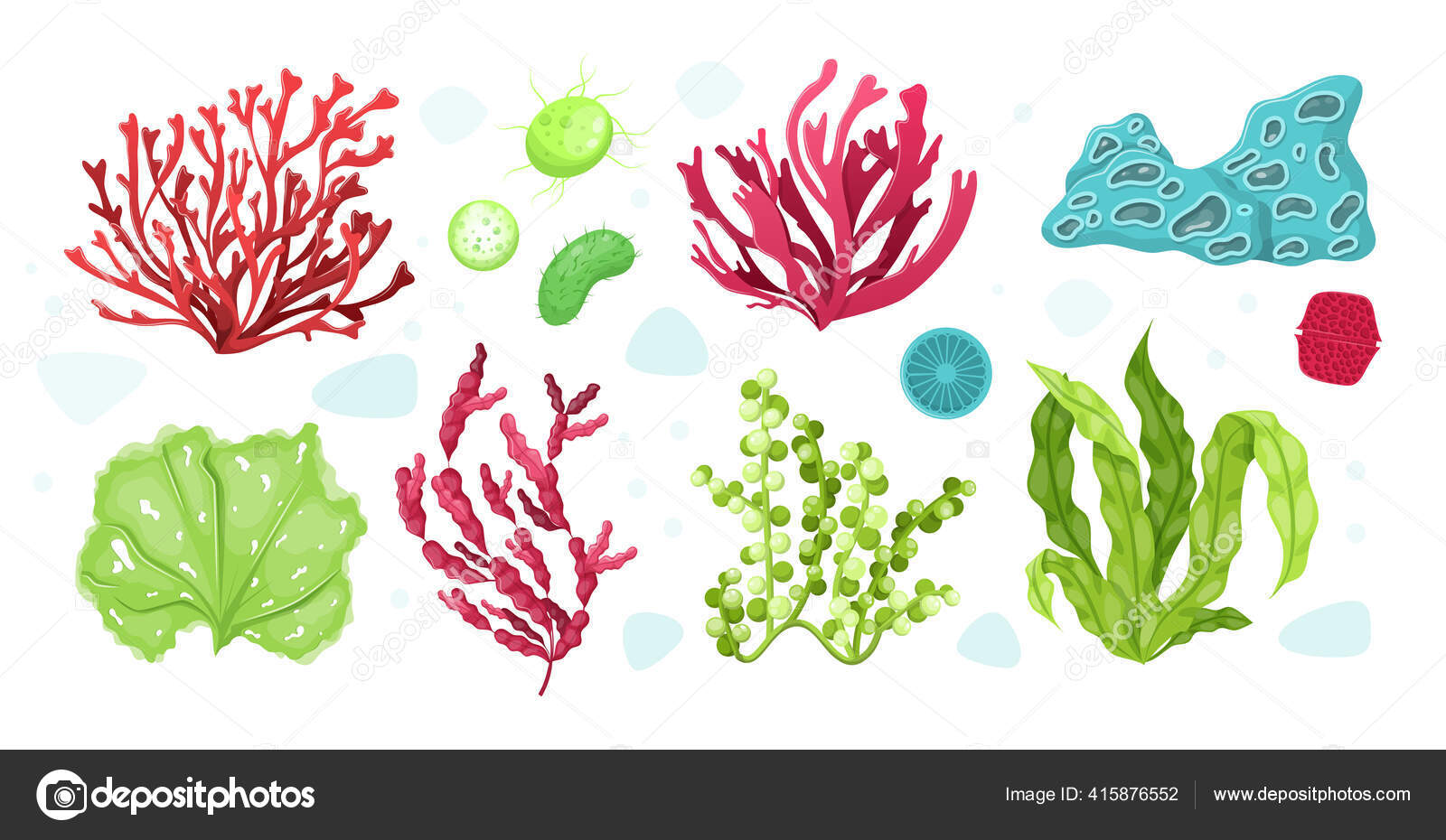 Marine Ocean Plants Drawing