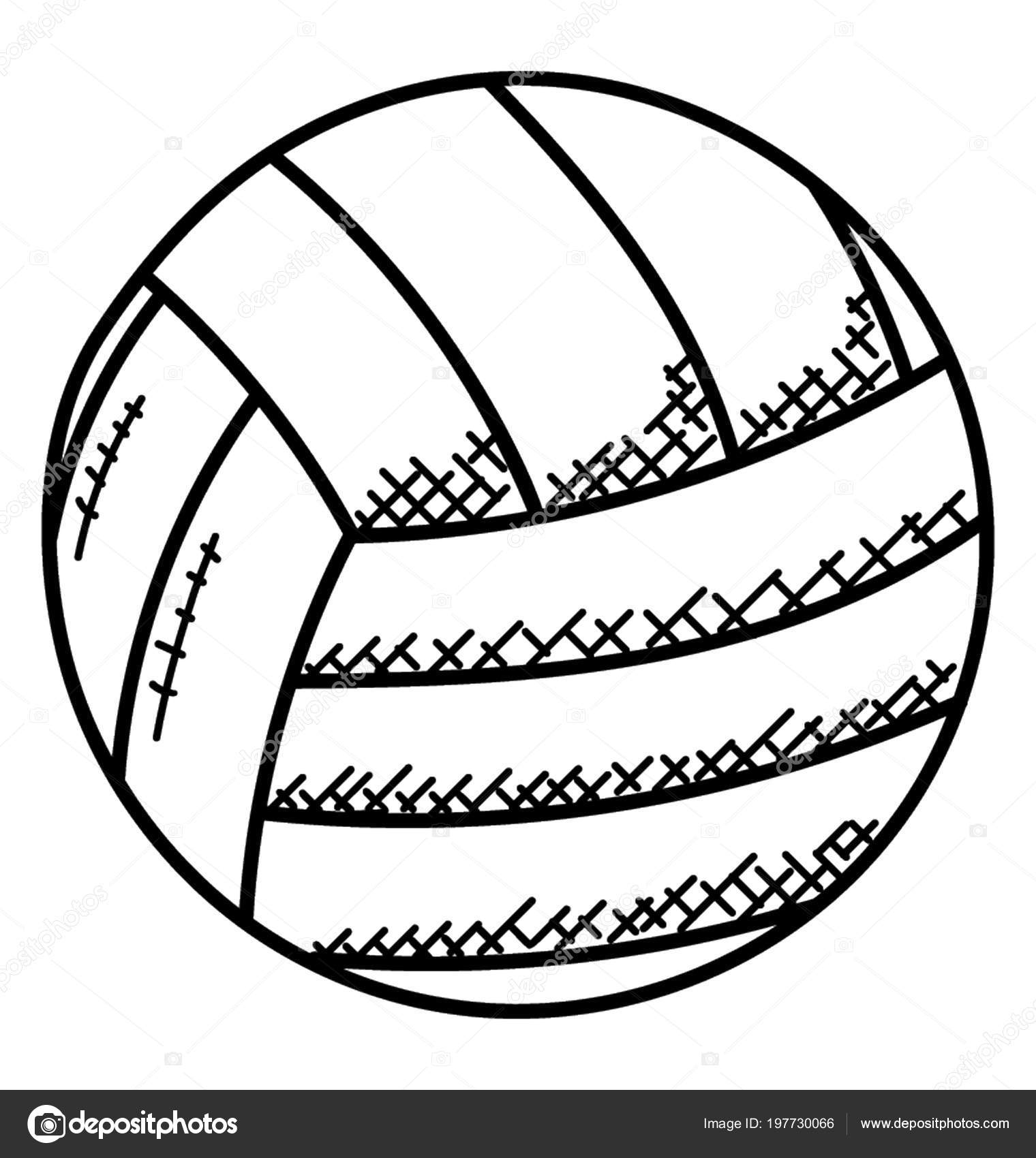 Circular Stripped Light Weight Ball Indicates Concept Netball ⬇ Vector ...