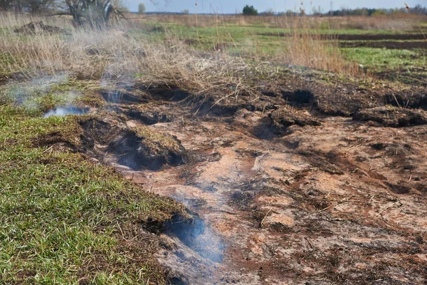 Peatland Stock Photos, Royalty Free Peatland Images | Depositphotos