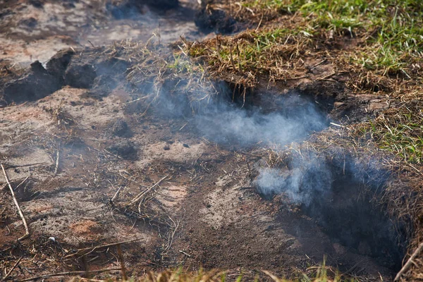 Incendios de turba fotos de stock, imágenes de Incendios de turba sin ...