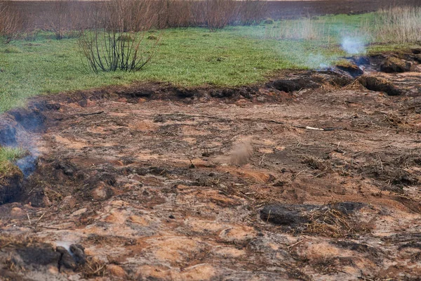 Peatland Stock Photos, Royalty Free Peatland Images | Depositphotos