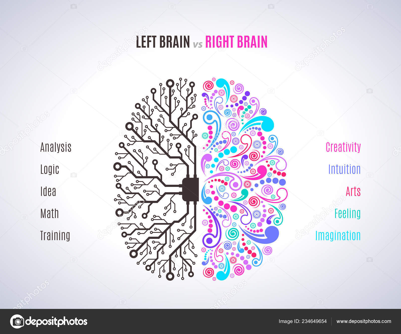 Left And Right Brain Functions