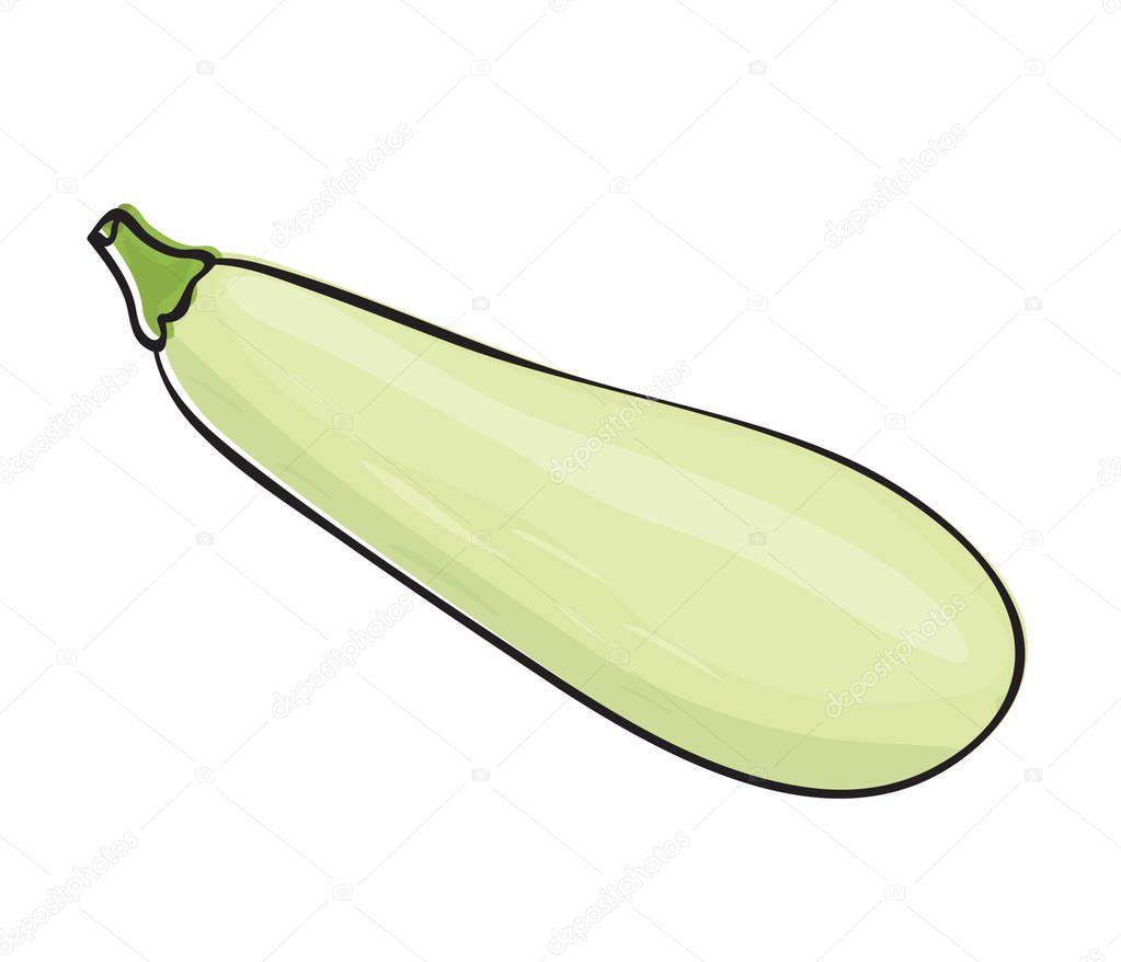Calabacín Dibujos Animados Aislados Sobre Fondo Blanco Vector de stock ...