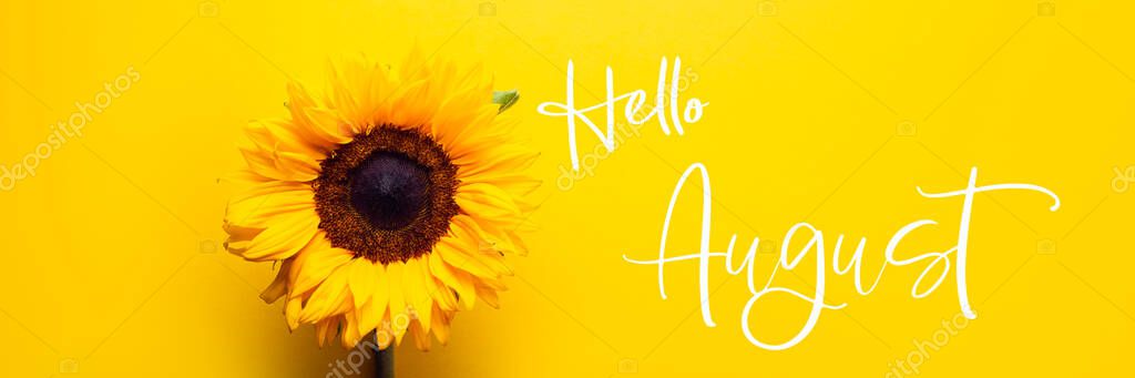 August bouquet Stock Photos, Royalty Free August bouquet Images ...