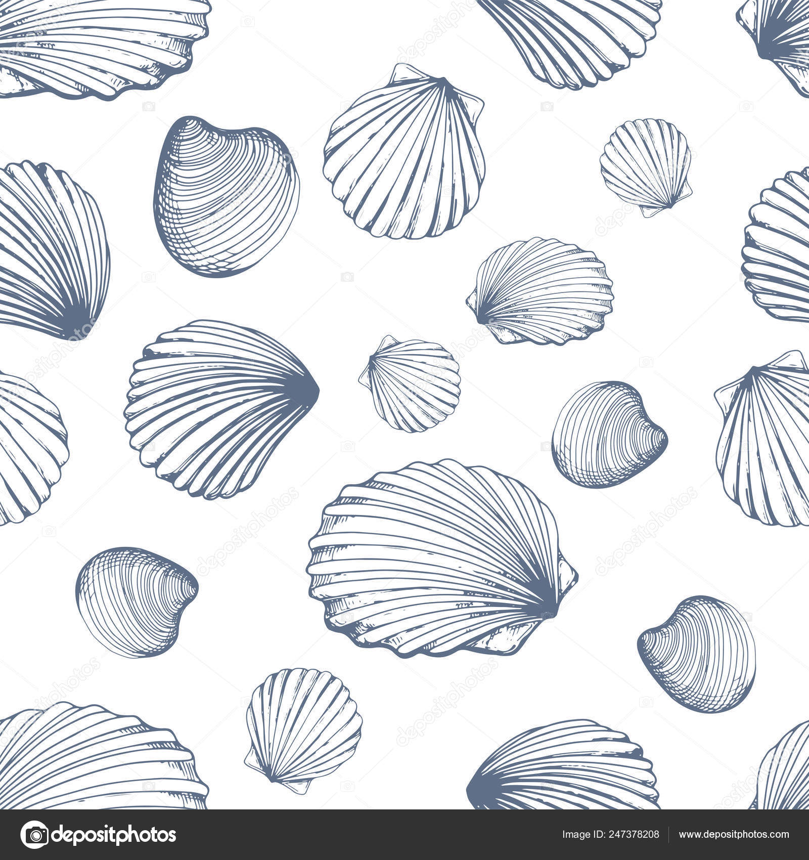 Seamless pattern. Vector Illustration of handdrawn seashells in sketch ...
