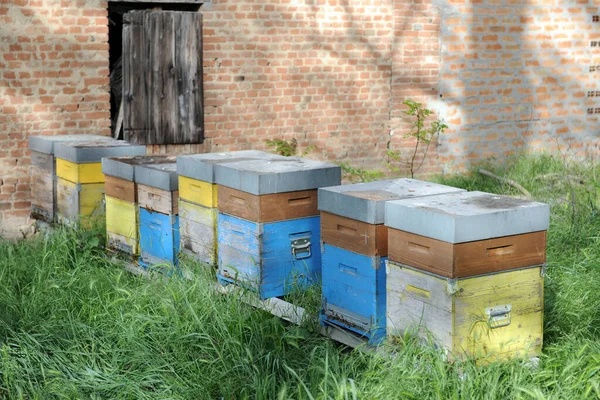 Romania bee hives Stock Photos, Royalty Free Romania bee hives Images ...