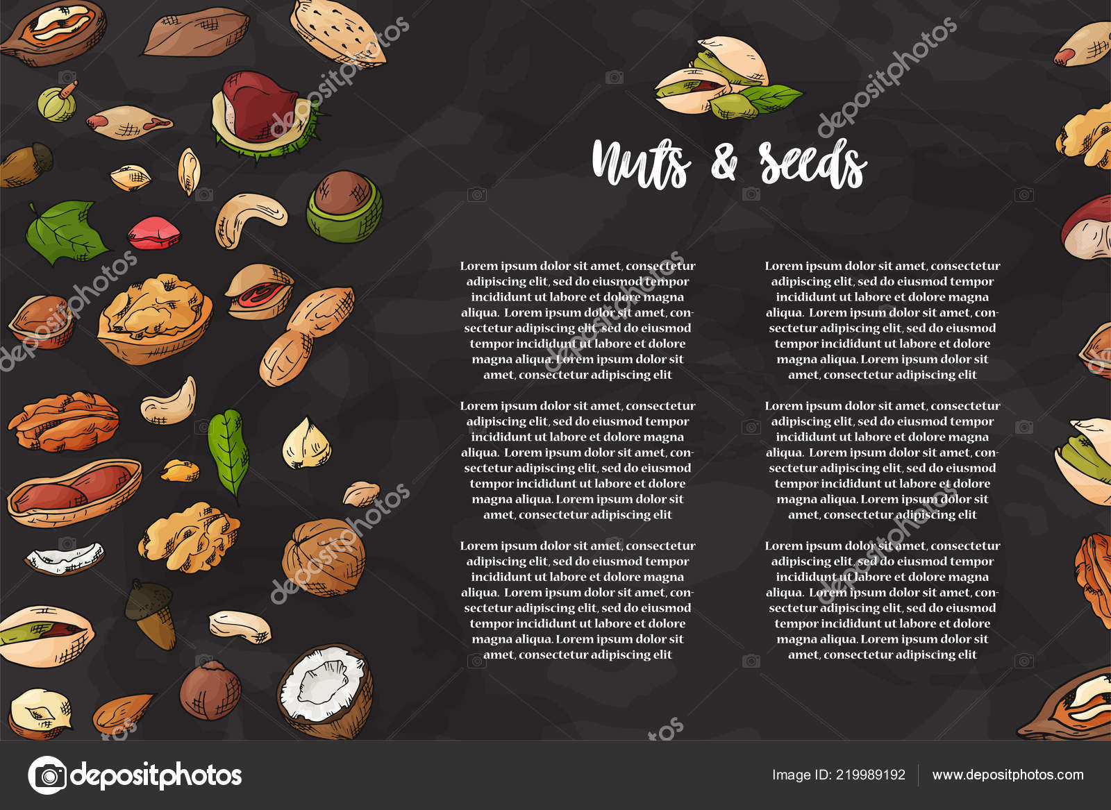 Natural nuts and seeds template. Hand drawn objects for your design ...