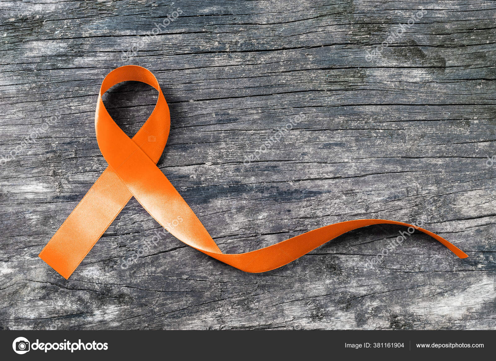 Kidney Cancer Orange Ribbon