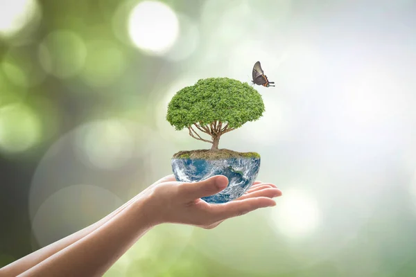 Saving environment Stock Photos, Royalty Free Saving environment Images ...