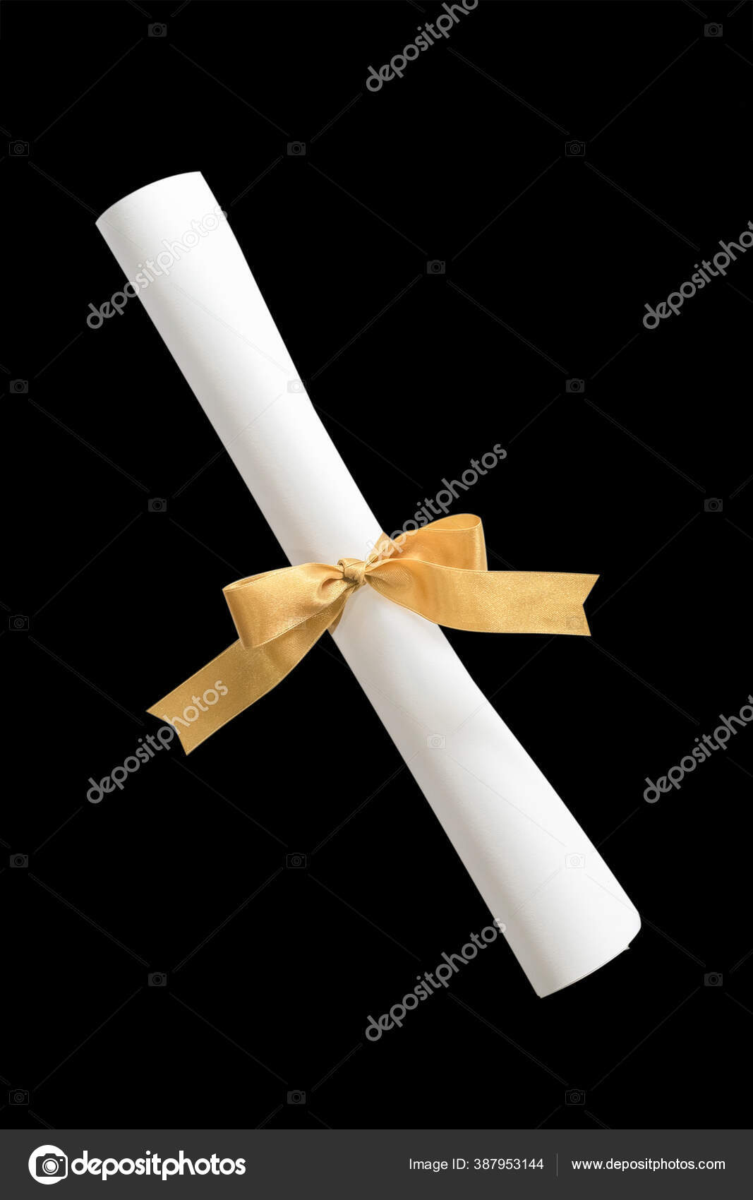 Diploma Degree Certificate Roll Isolated Black Background Clipping Path ...