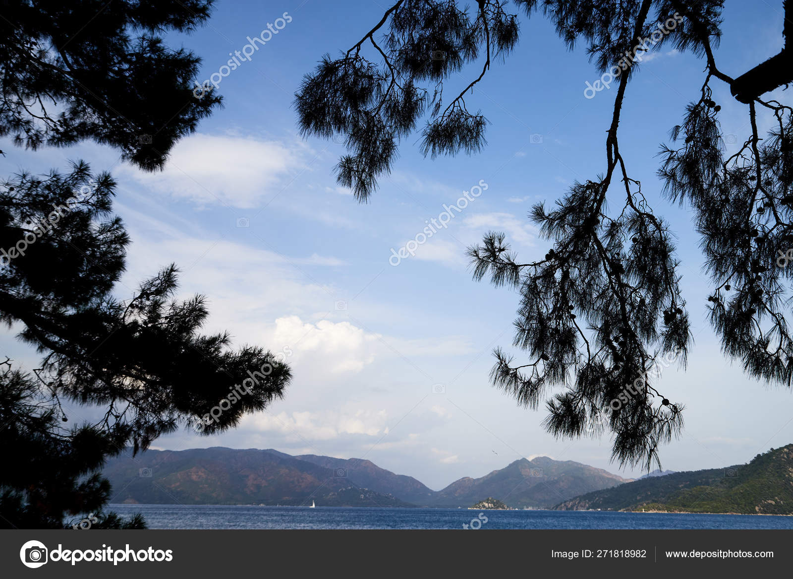 Branches of trees and view of sea and mountain through them — Stock ...