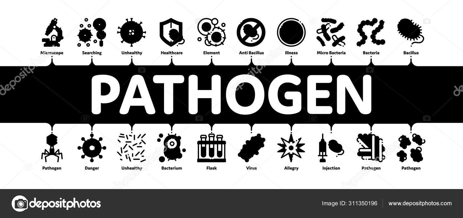 Pathogen Elements Minimal Infographic Banner Vector Stock Vector by ...