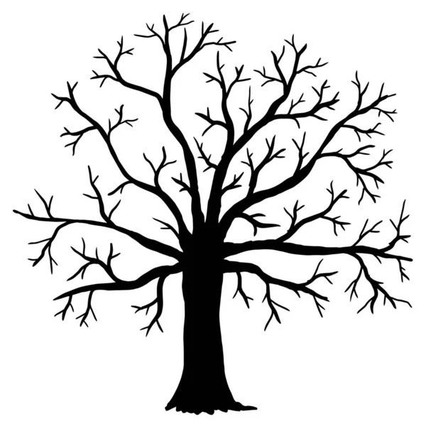 1,921 Bare tree Vector Images | Depositphotos