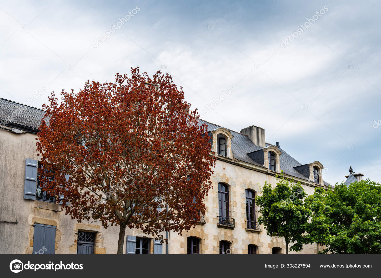 Beautiful red prunus tree in Rochefort-en-Terre, Brittany — Stock Photo ...