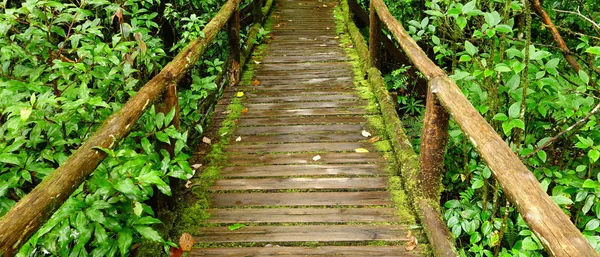 Elevated pathway Stock Photos, Royalty Free Elevated pathway Images ...