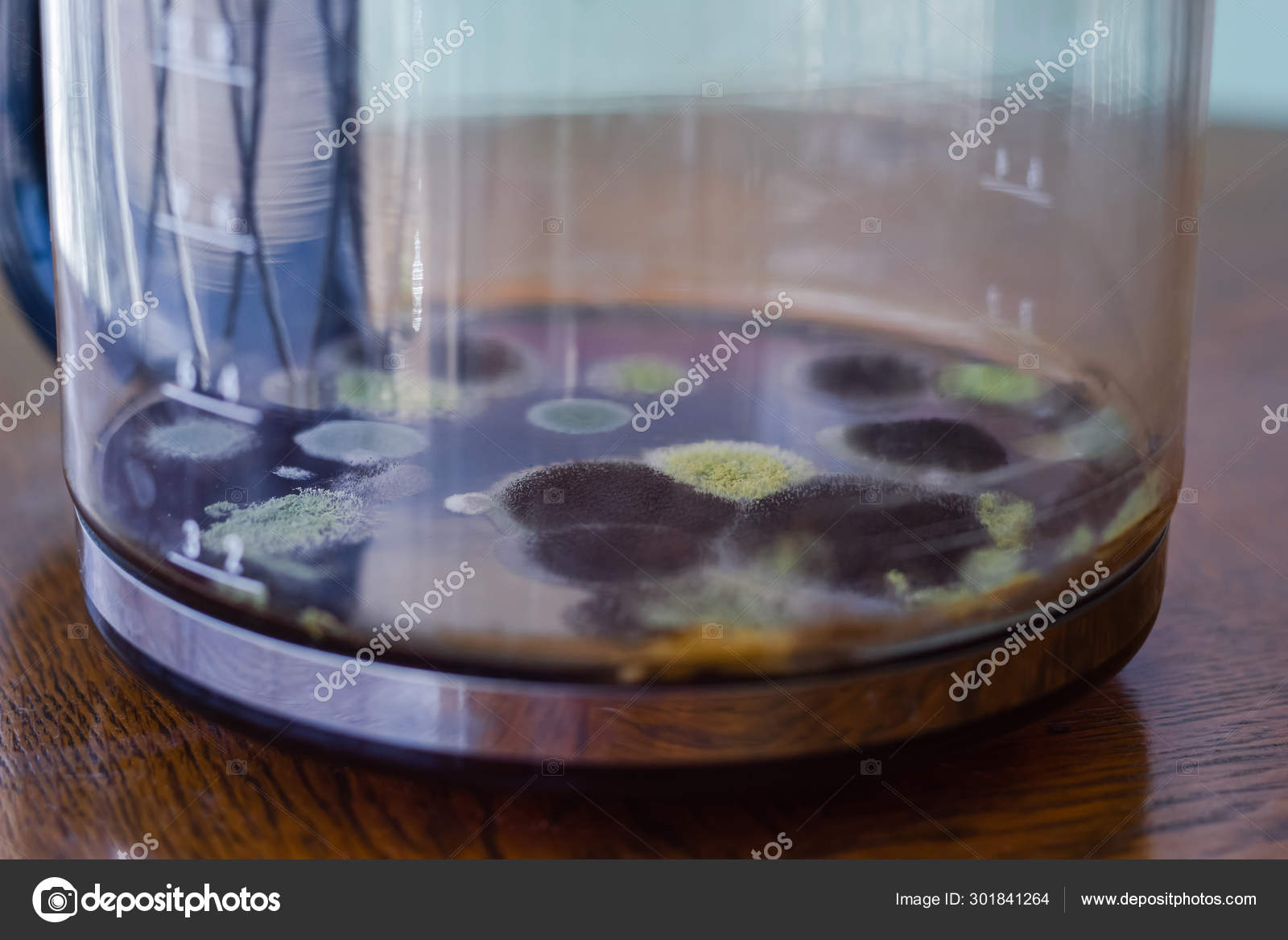 Mold in coffee pot Stock Photo by ©nelladel 301841264