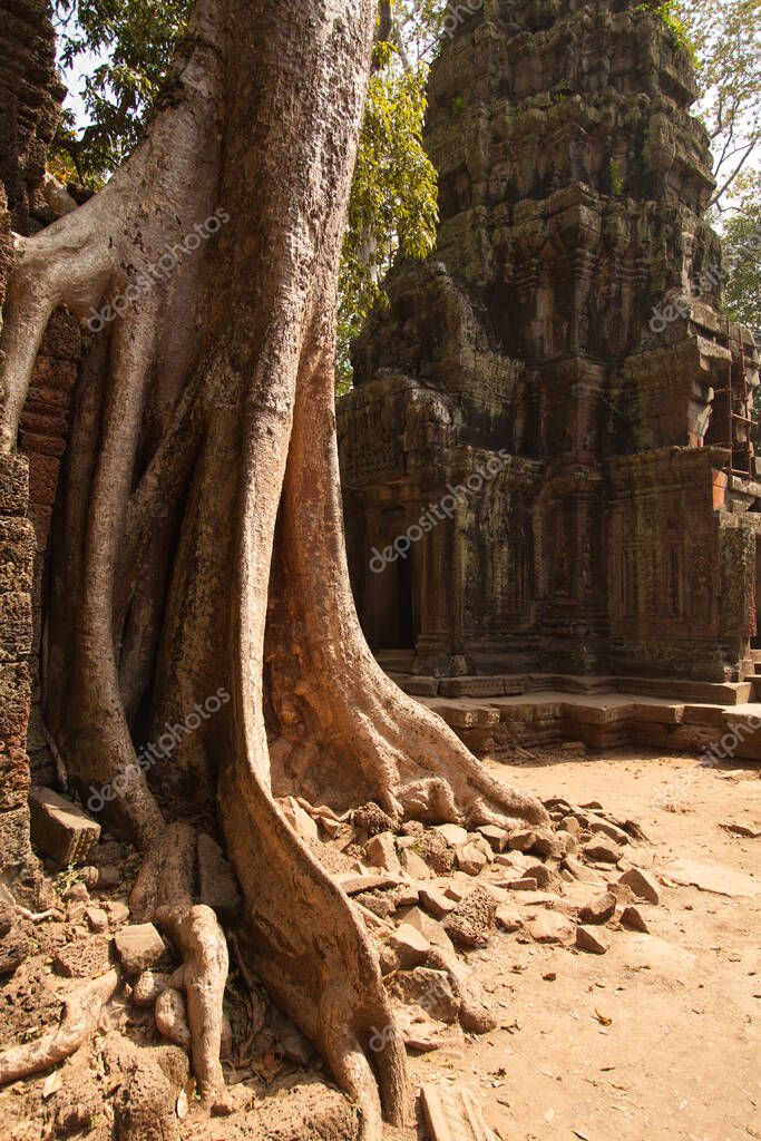 La selva y los árboles habían engullido el complejo de templos de ...