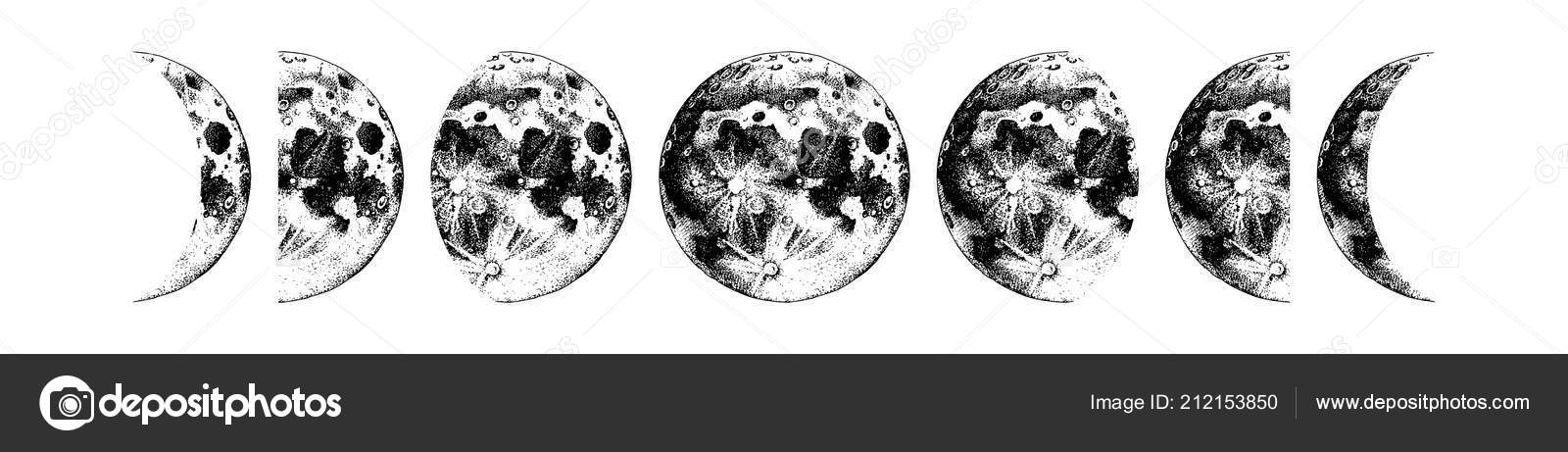 Moon phases illustration Stock Vector by ©mart_m 212153850