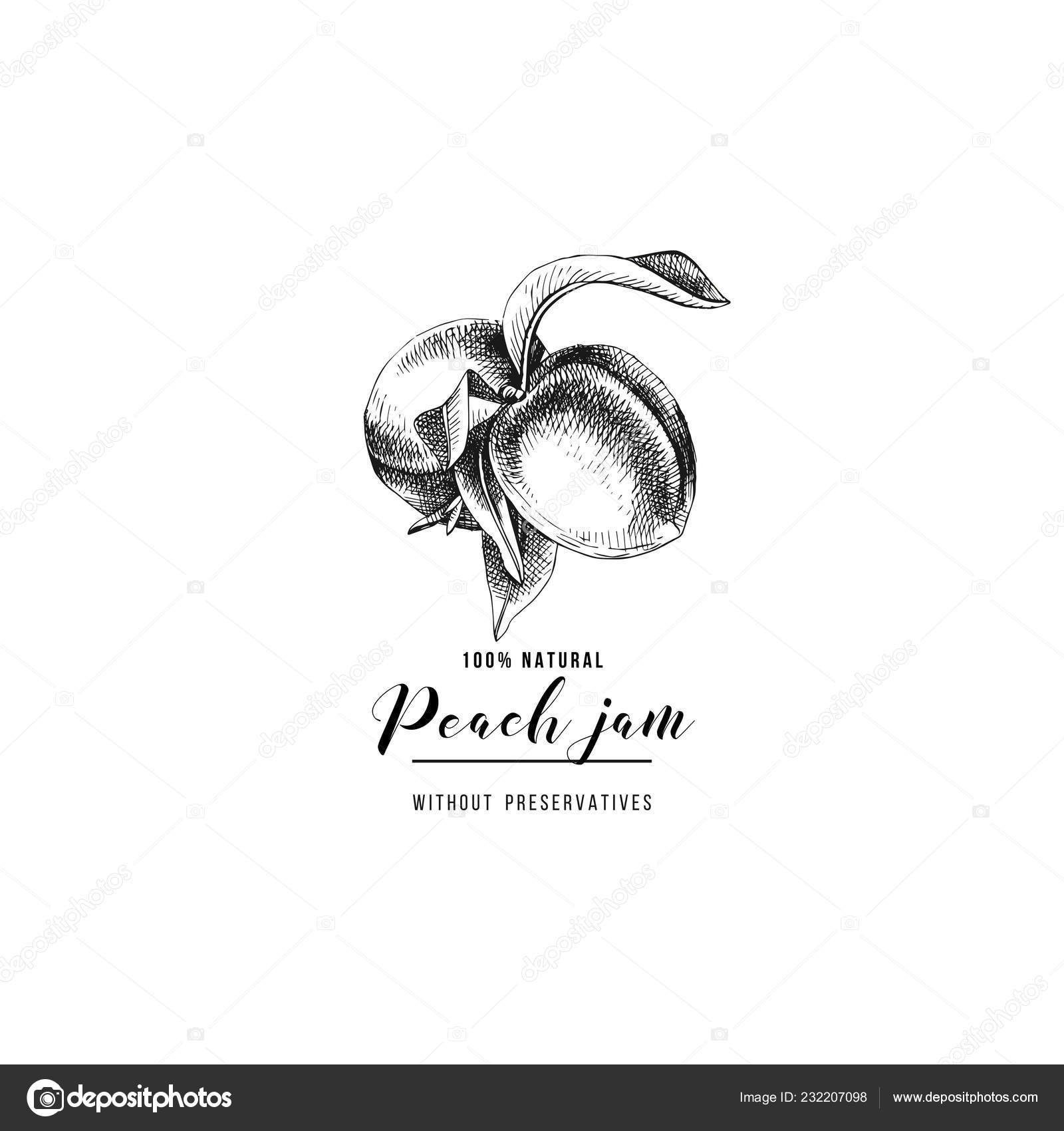Peach jam logo template Stock Vector by ©mart_m 232207098