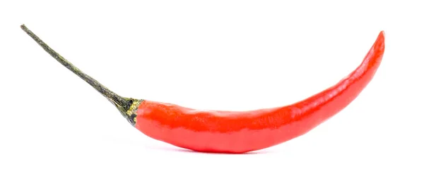 Rats tail chile fotos de stock, imágenes de Rats tail chile sin ...