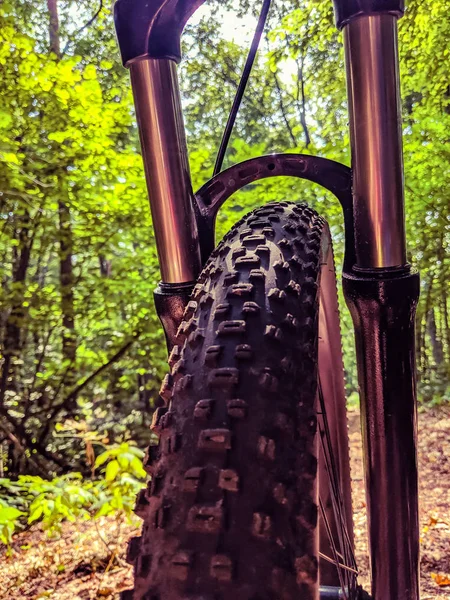 Gordura mtb Stock Photos, Royalty Free Gordura mtb Images | Depositphotos