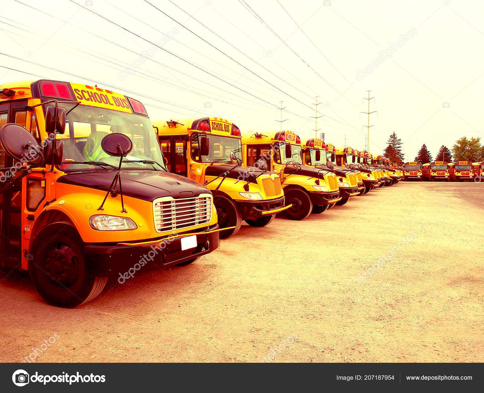 School Bus Vehicles Ready School Educational Season Filtered Effect ...