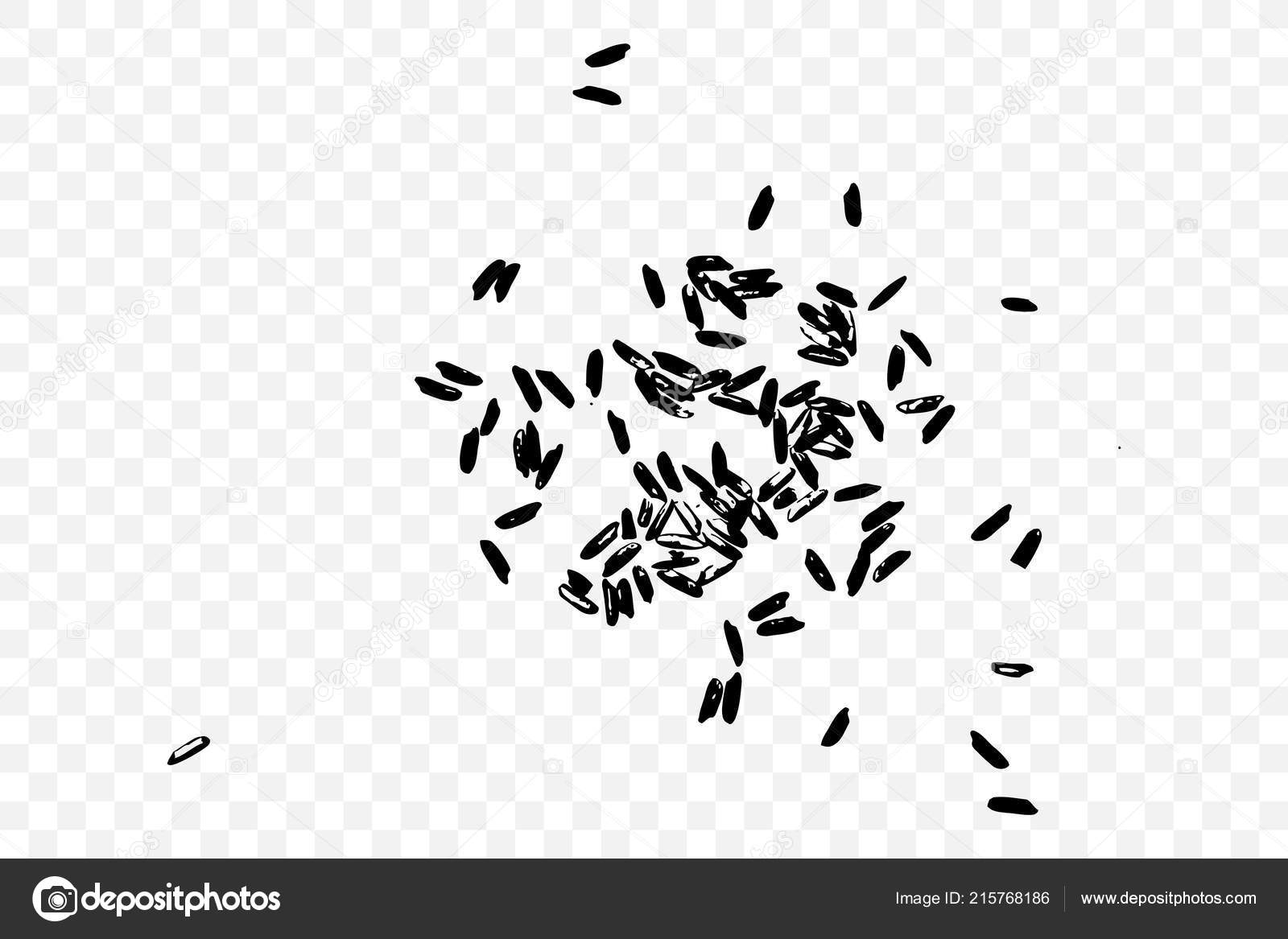 White Rice Random Pattern Transparent Background Rice Seeds White ...