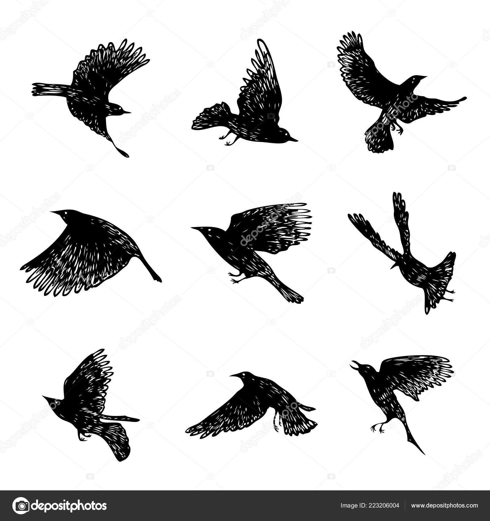 Flock Flying Birds Drawing