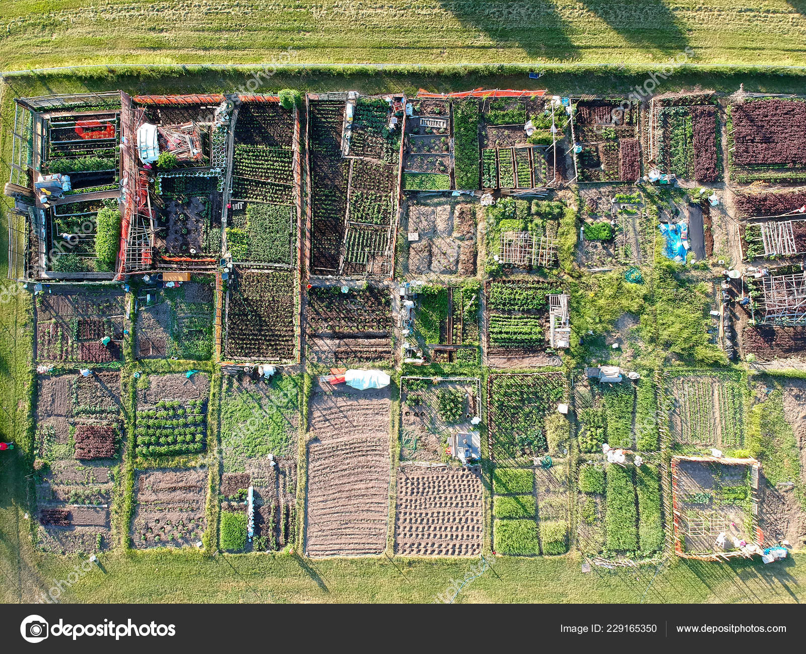 Agriculture Aerial