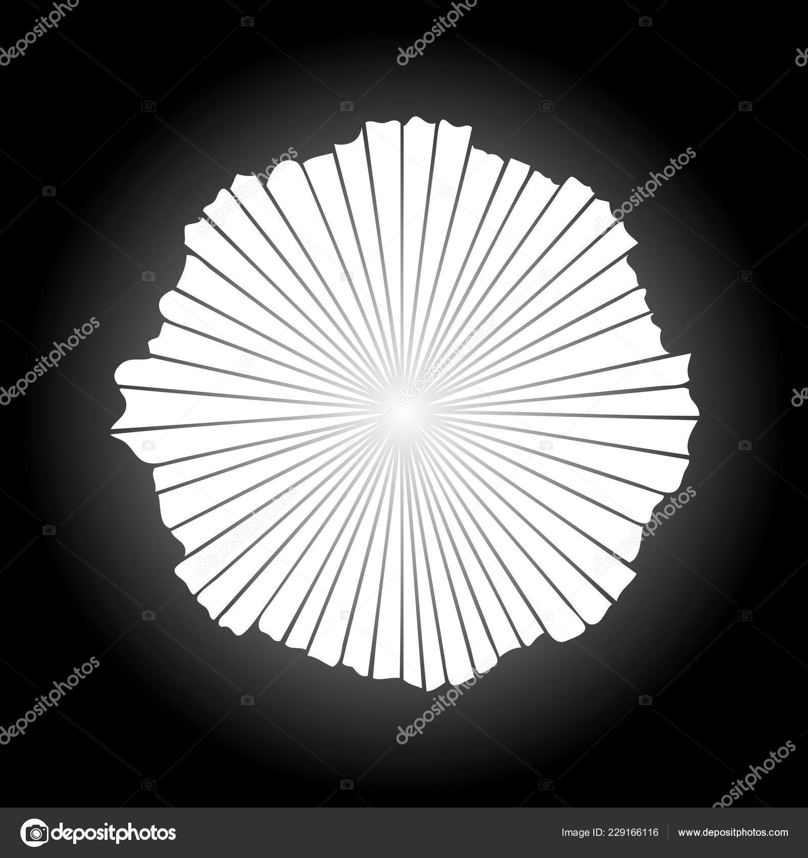 Rays Halo Light Catholic Rays Isolated Black Art Tattoo Reference Stock ...