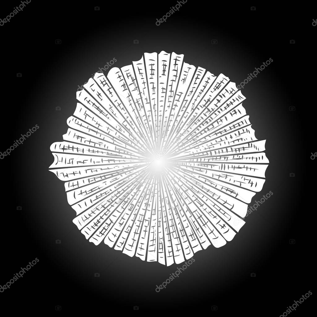 Rayos de luz halo y rayos católicos aislados en negro. Plantilla de ...