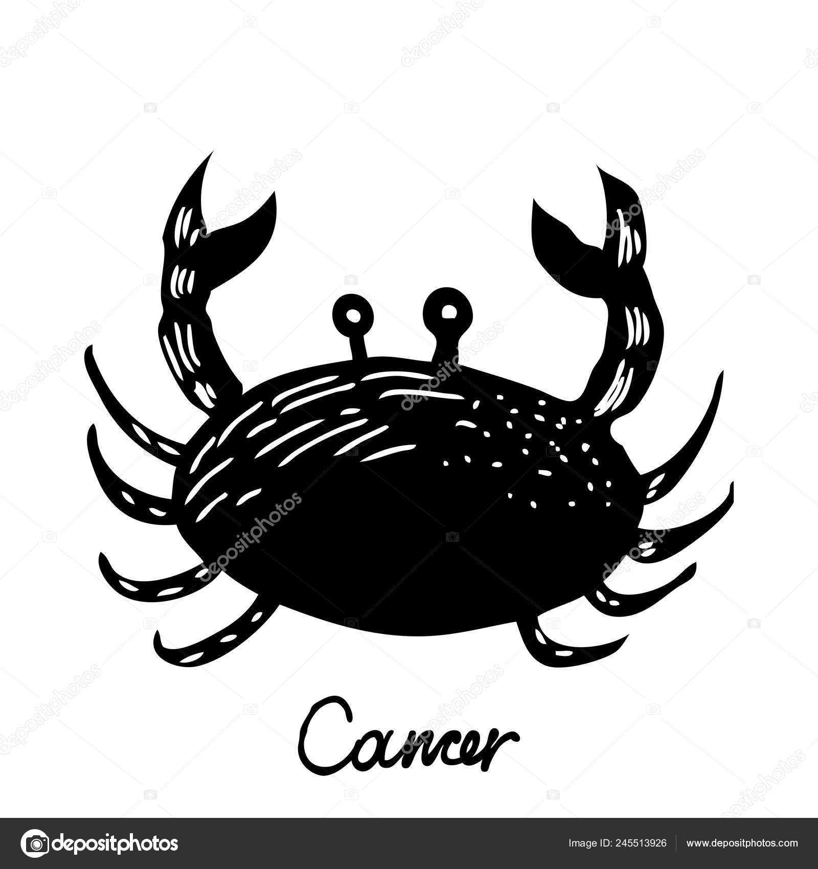 Cancer Zodiac Hand Drawing Sign Horoscope Usable Mystic Occult ...
