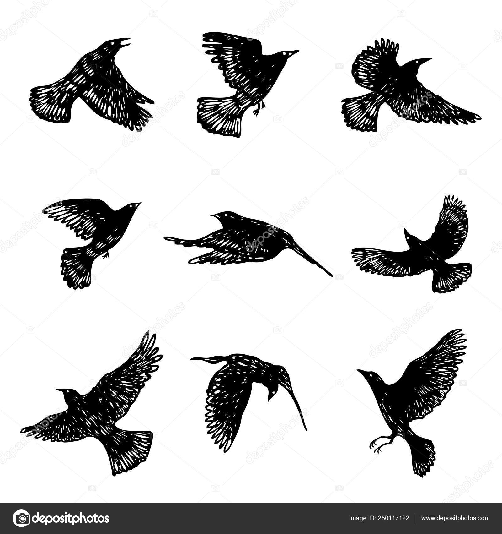 Flock Of Birds Drawing