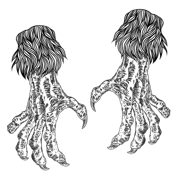 100,000 Wolf claws drawing Vector Images | Depositphotos