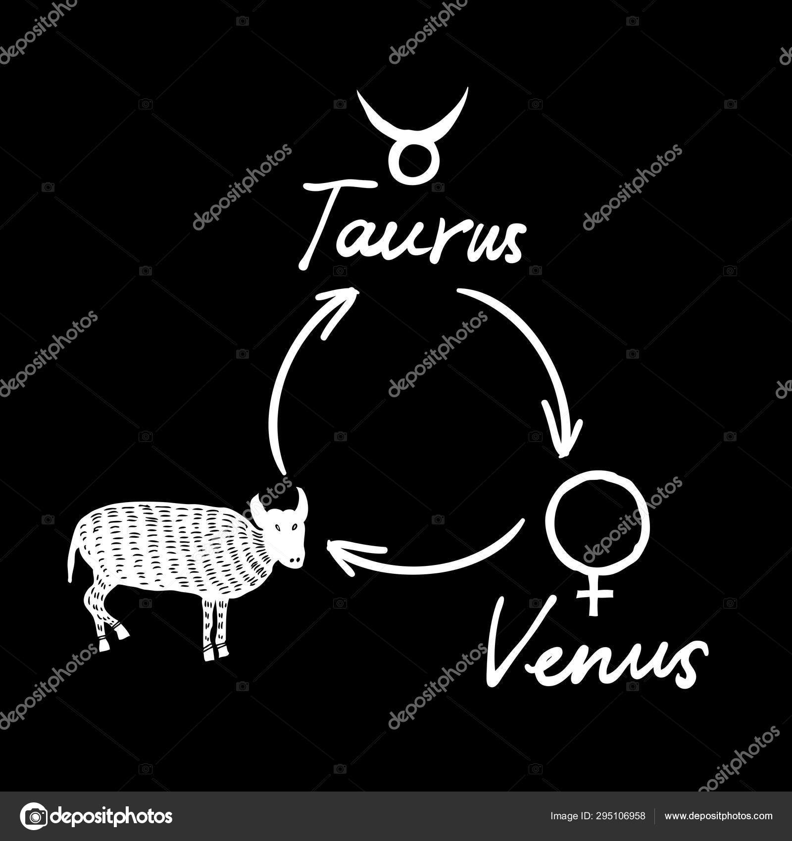 Hand drawn zodiac constellations symbol and sign Taurus, Venu il Stock ...