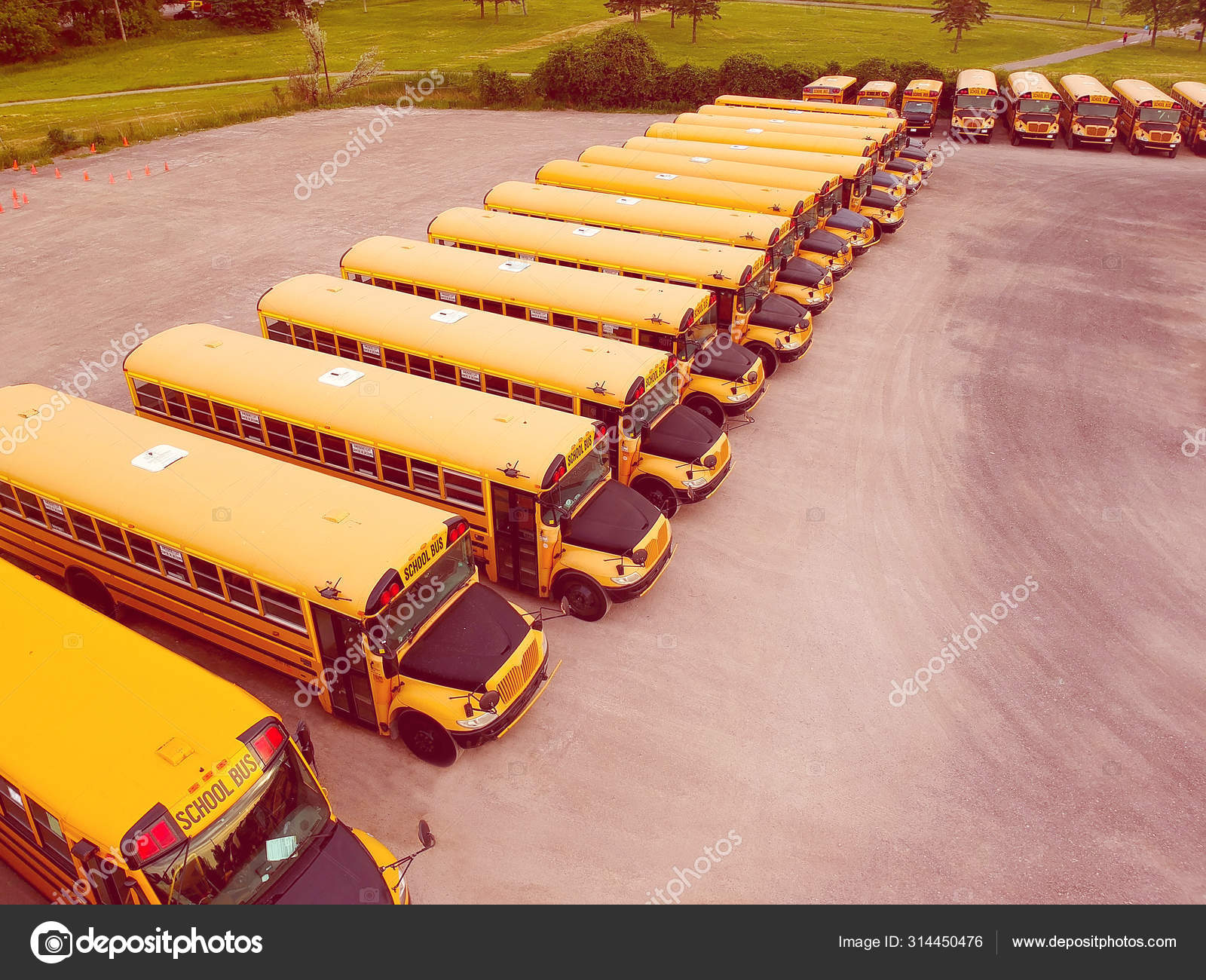 School bus vehicles ready for school educational season. Parking lot of ...