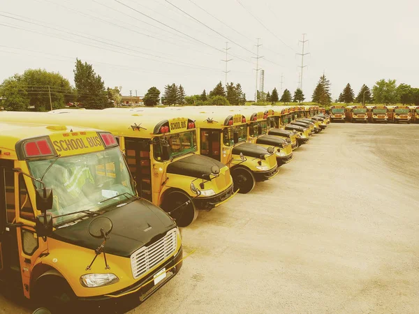 School Bus Vehicles Ready School Educational Season Filtered Effect ...