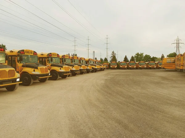 School bus vehicles ready for school educational season. Parking lot of ...