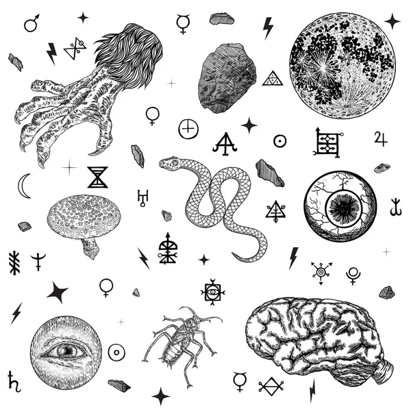 Occult Alchemy Symbols Elements Set Human Eye Anatomical Heart ...