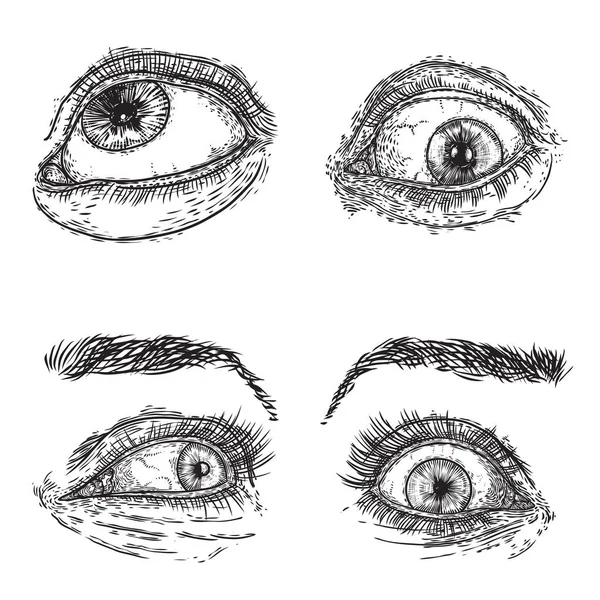 Open Eye Sketch