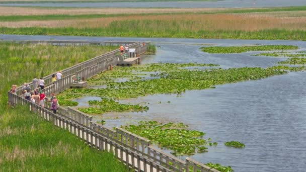View Marsh Boardwalk Trail Summer Vacation Observation Tower Lookout ...